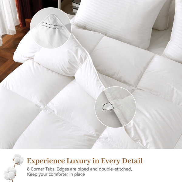 Latitude Run® Soft and Fluffy 100% Organic Cotton Feathers Down Comforter All-Season Duvet ...
